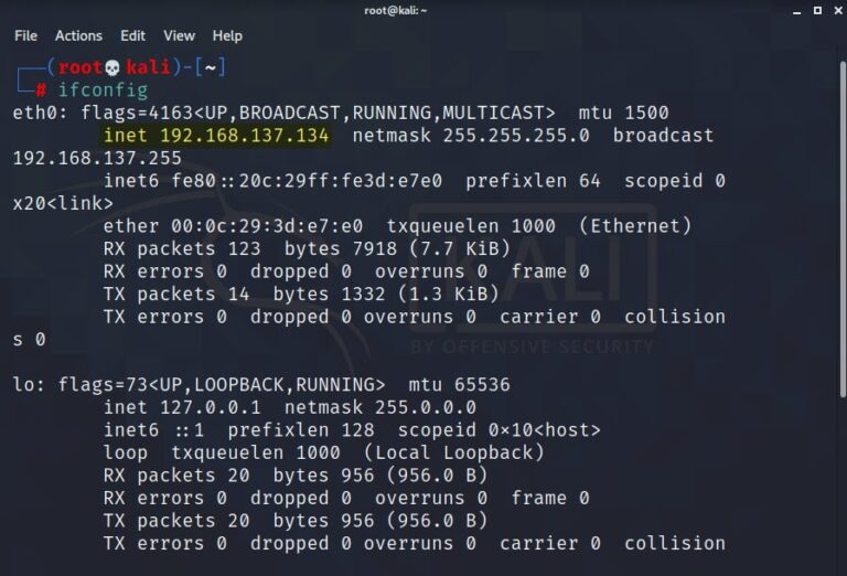 Easily Share Files Between Kali Linux and Windows 10 – INTOZOOM